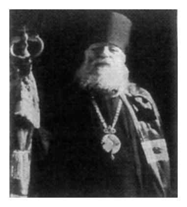 A Brief History of the Autonomous Orthodox Metropolia of North and ...